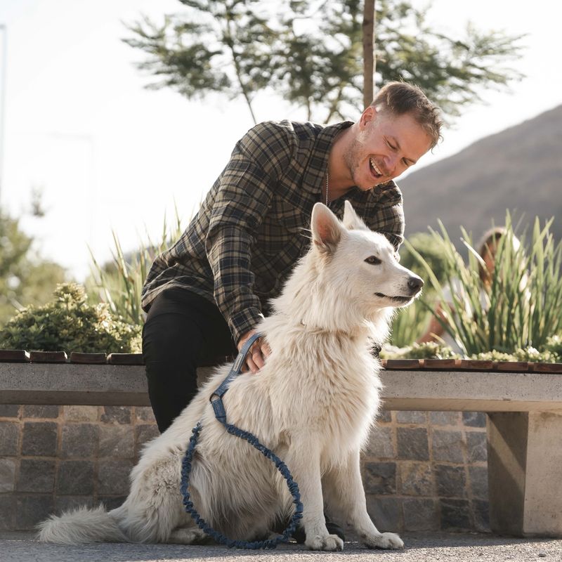 Correa De Perro Unisex Dog Belt-Merrell Chile - Merrell | Tienda ...